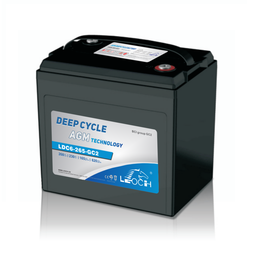 Leoch LDC6-265-GC2 AGM Deep Cycle Battery | Battery Warehouse ...